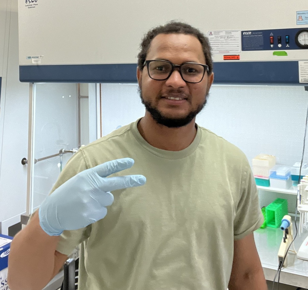 Stress Granules: The Cell's Secret First Responders | Molecular and ...