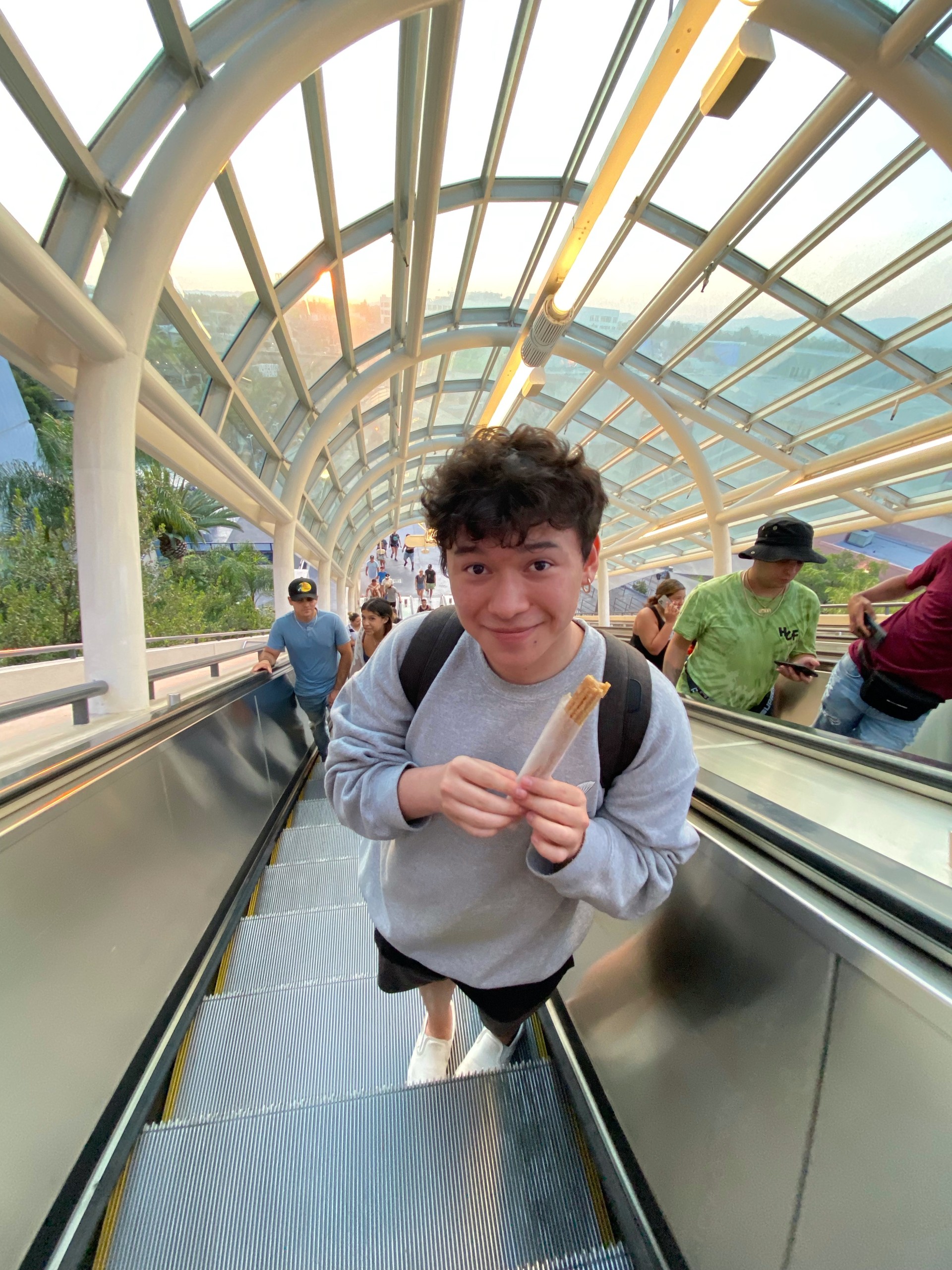 Sean Collins | Molecular and Cellular Biology